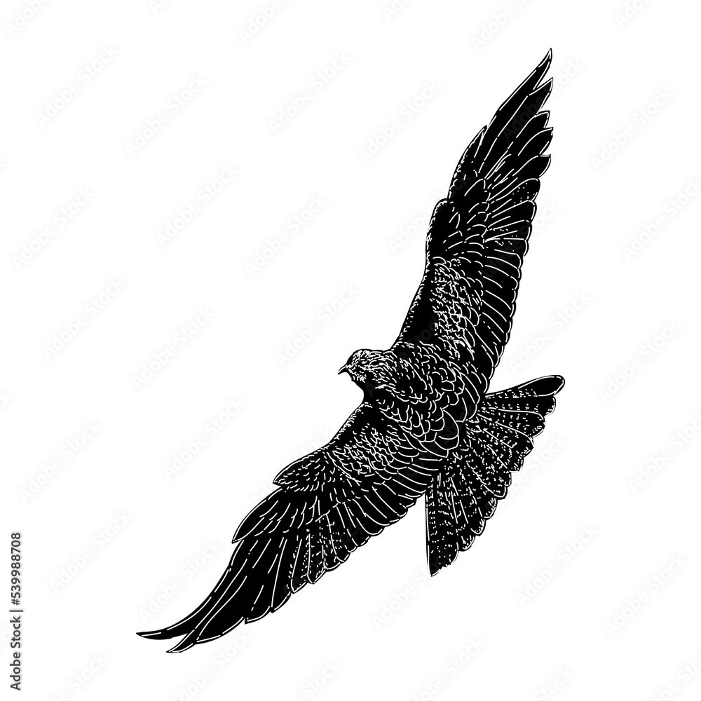 Red Kite hand drawing vector illustration isolated on background. Stock ...