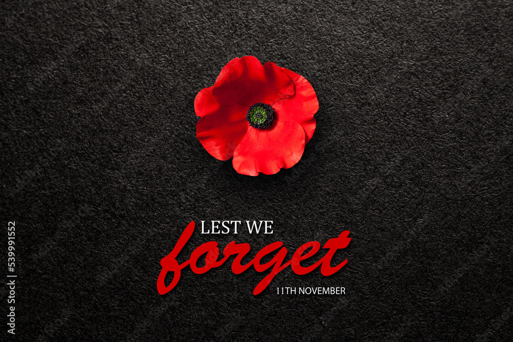The remembrance poppy - poppy appeal. Poppy flower on black textured ...