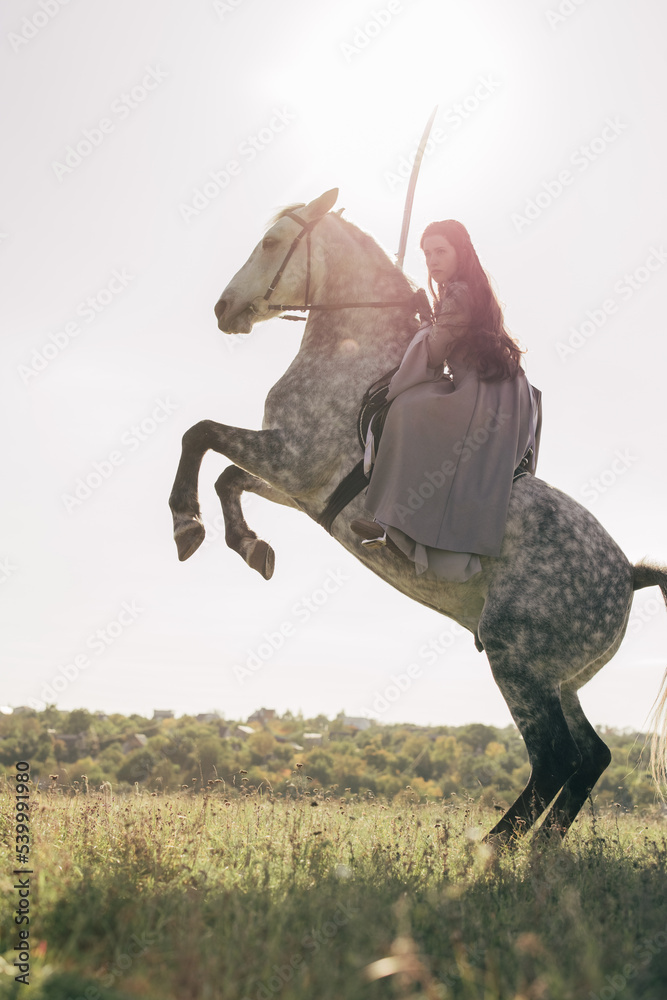 White Horse Rearing With Rider