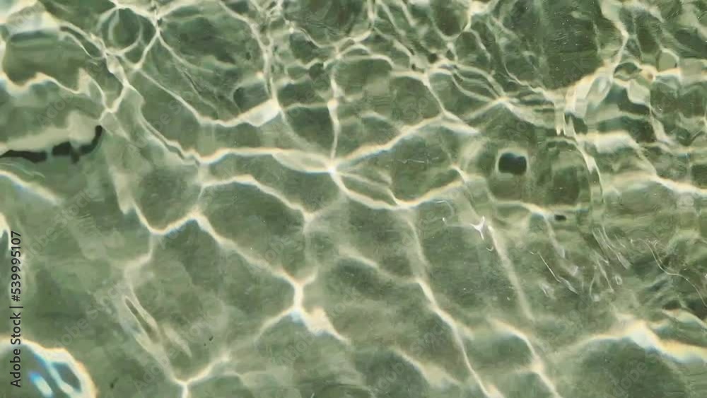 Rippling water surface with light reflection and floating small fish ...