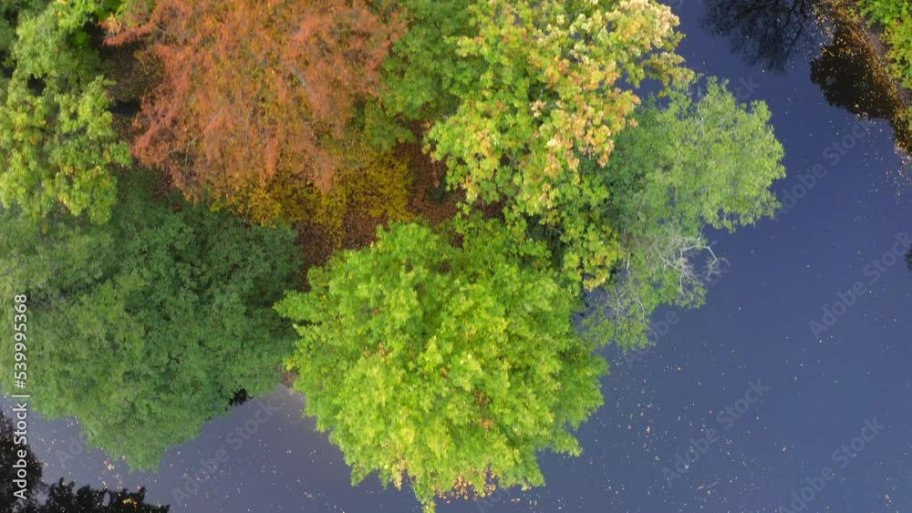 Flying directly over the ponds and the tops of different types of ...