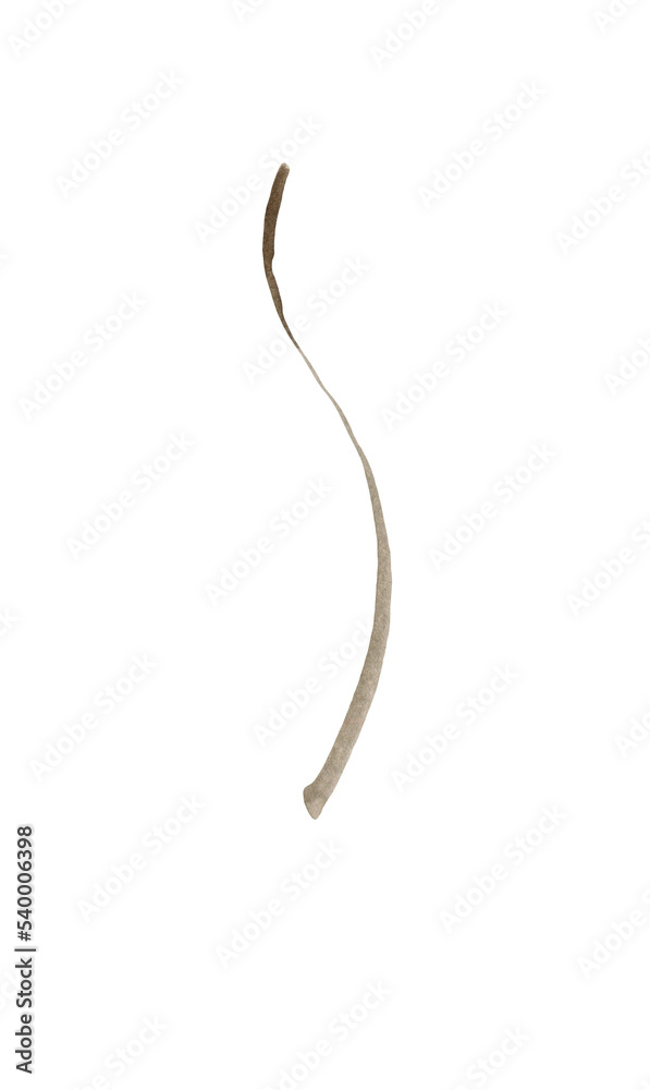 Watercolor stem,flower thread,string, line, drawing, illustration ...