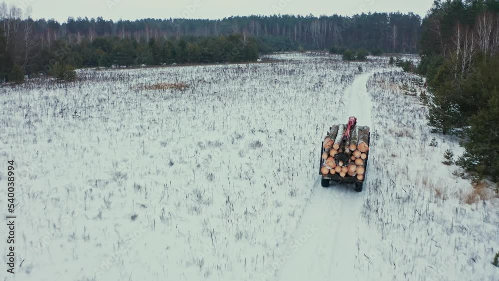 Logging truck transports felled trees - aerial view. Environmental and ...