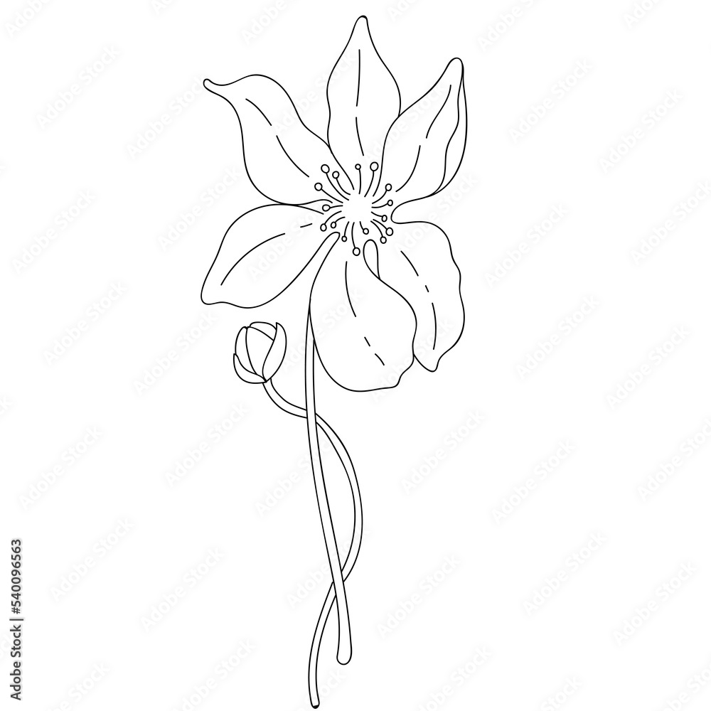 Abstract flat outline art flower illustration. Continous line flower ...