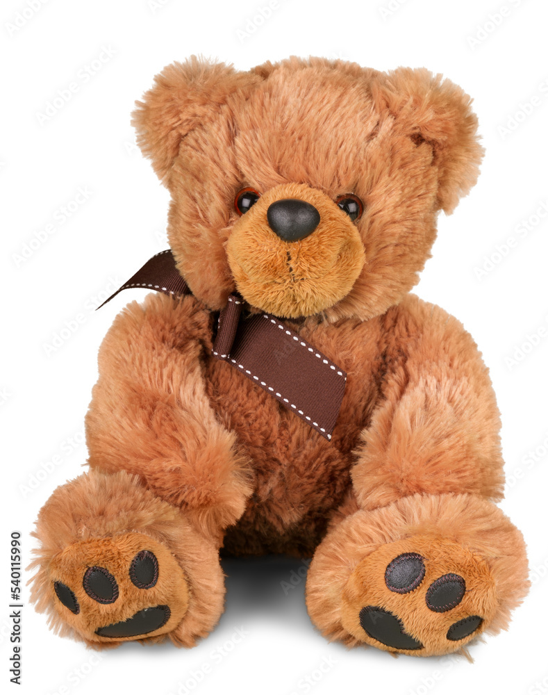 Teddy Bear Stock Photo | Adobe Stock