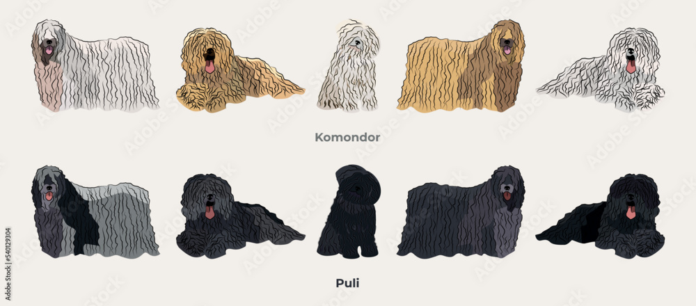 Komondor and Puli colors. Cute dog characters in various poses, designs ...
