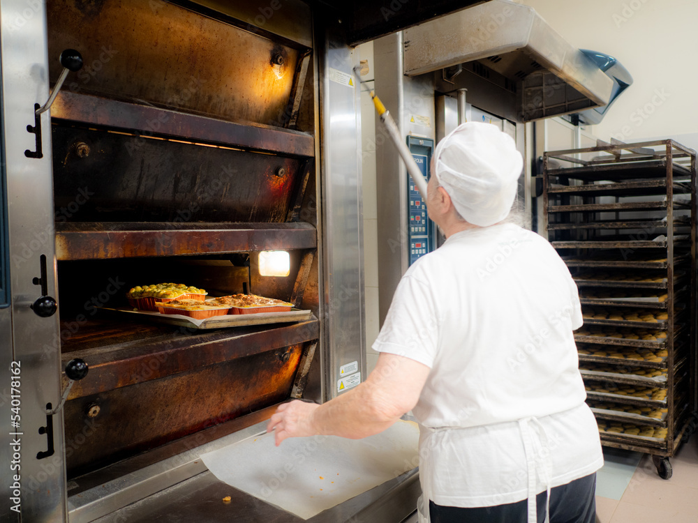 senior woman chef baking lasagna at the industrial oven of food ...