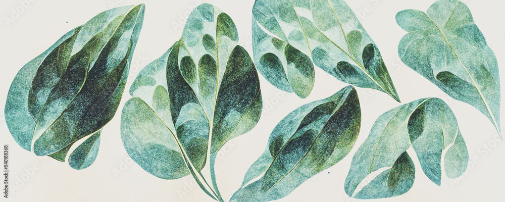 Spectacular pencil color drawing of light pale green leaf, transparent ...