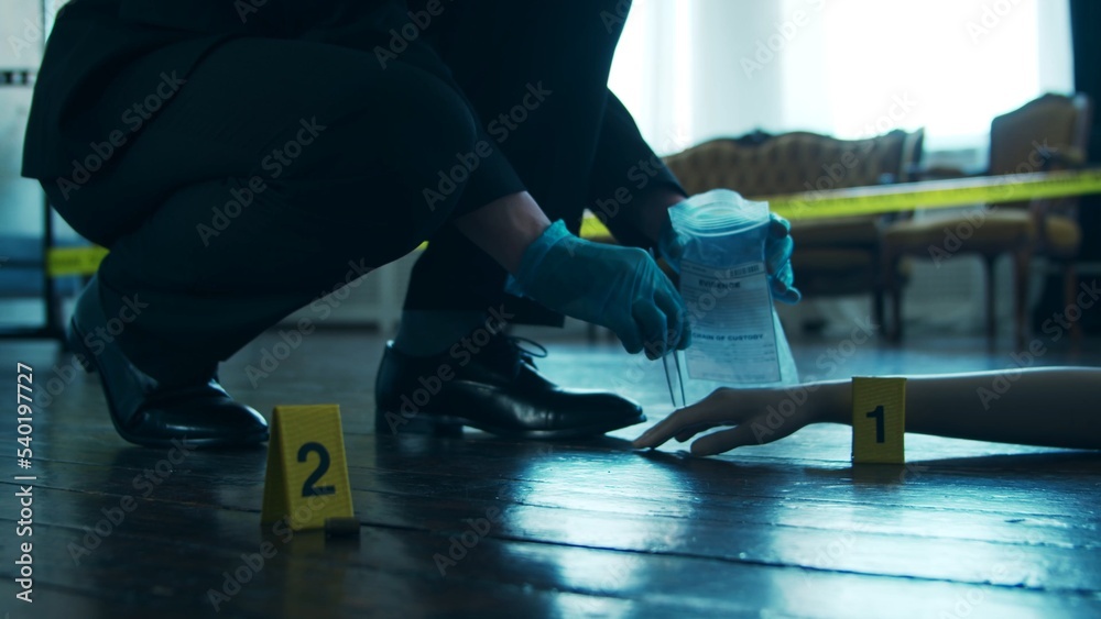 Detective Collecting Evidence in a Crime Scene. Forensic Specialists ...
