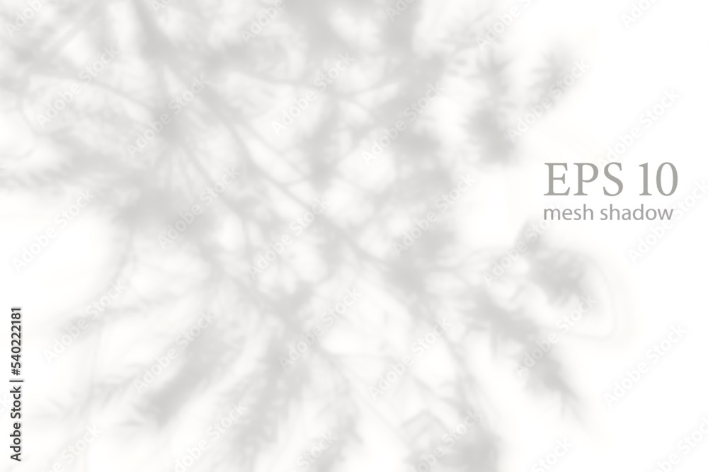 Transparent natural plant shadow. Light effect overlay. Mesh grid ...