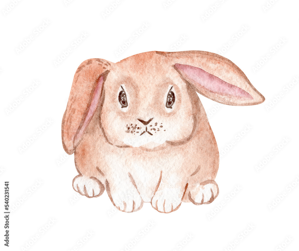 Bunny Clip Art Front View