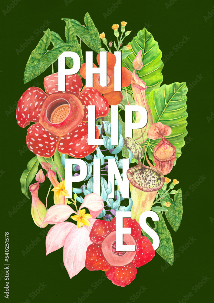 Philippine floral watercolor typography of Philippines with native ...