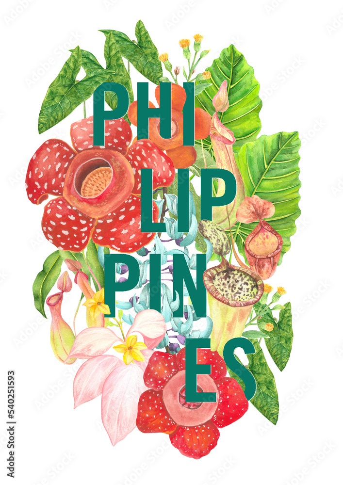 Philippine flora watercolor typography of Philippines with native ...