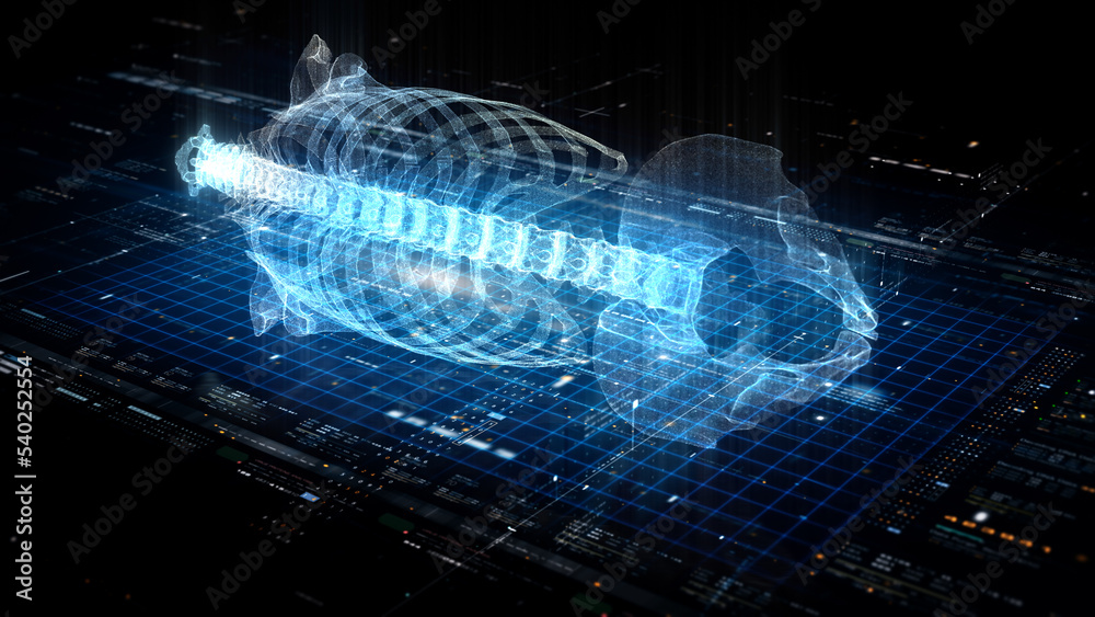 Futuristic biomedical concept of a holographic scanning a patient's ...