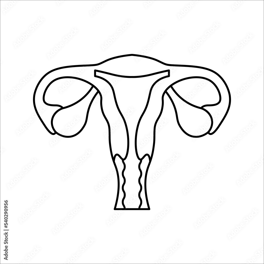 Female reproductive organs icon. Uterus sign. Female reproductive ...