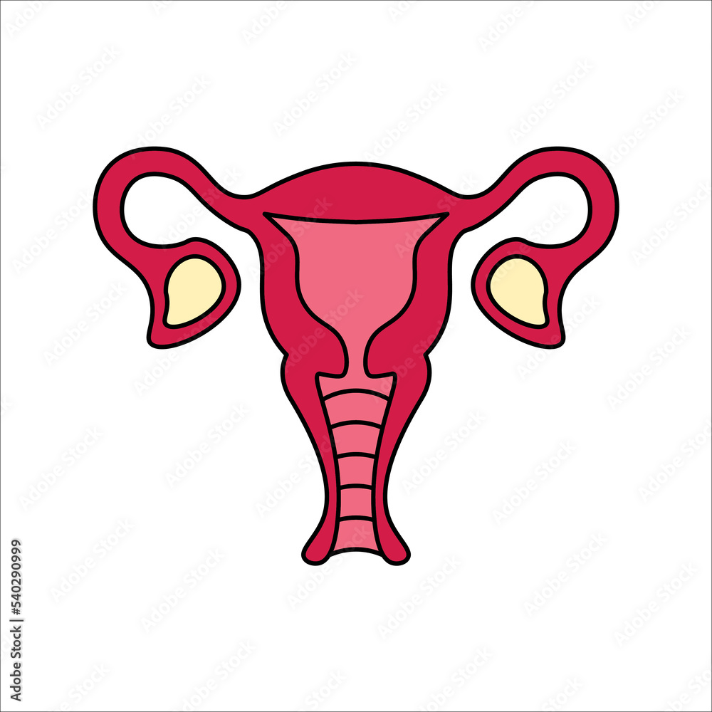 Female reproductive organs icon. Uterus sign. Female reproductive ...