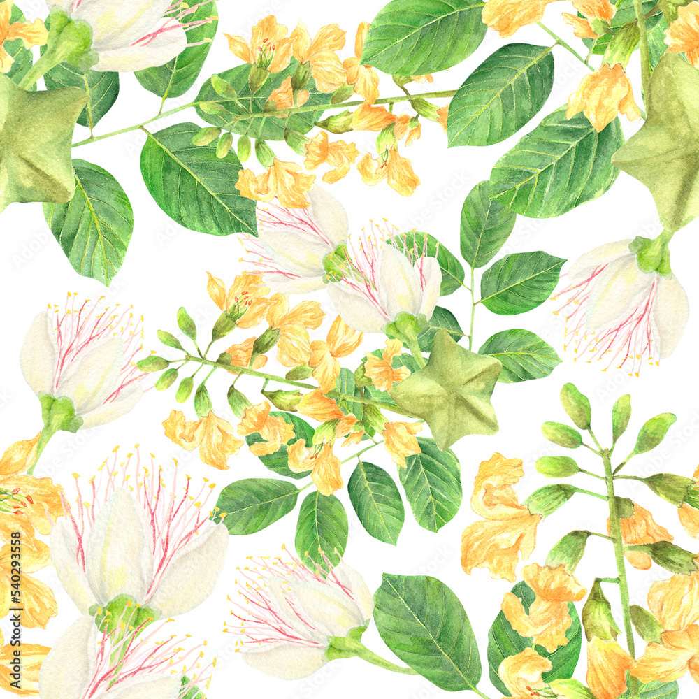 Seamless Philippine flora Narra Barringtonia asiatica flowers pattern ...