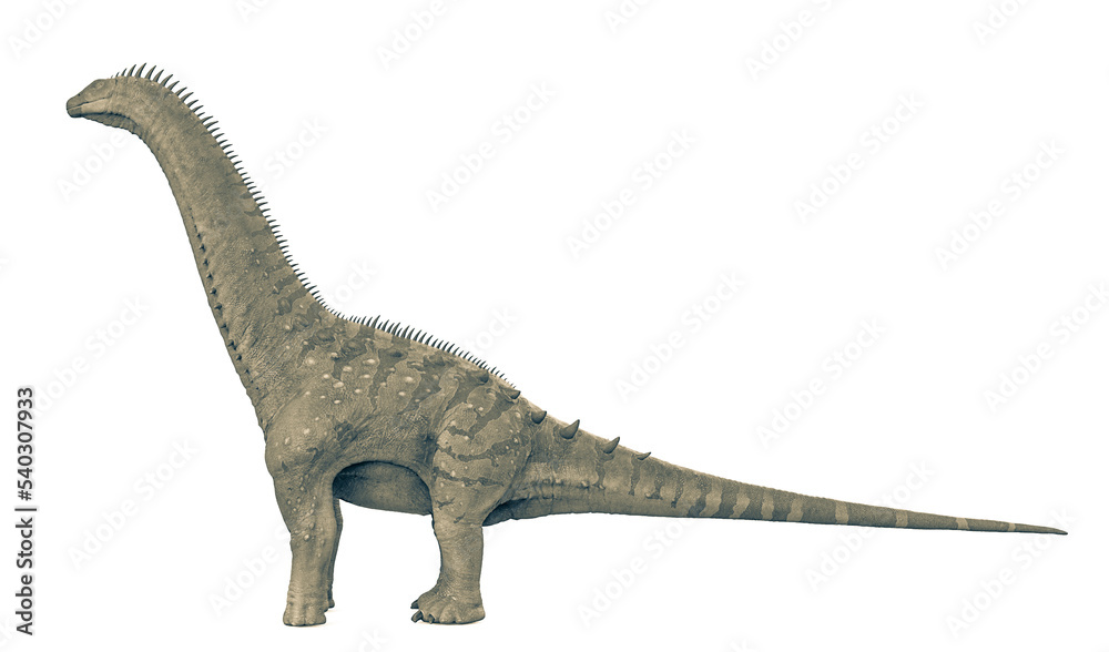 alamosaurus in white background side view Stock Illustration | Adobe Stock