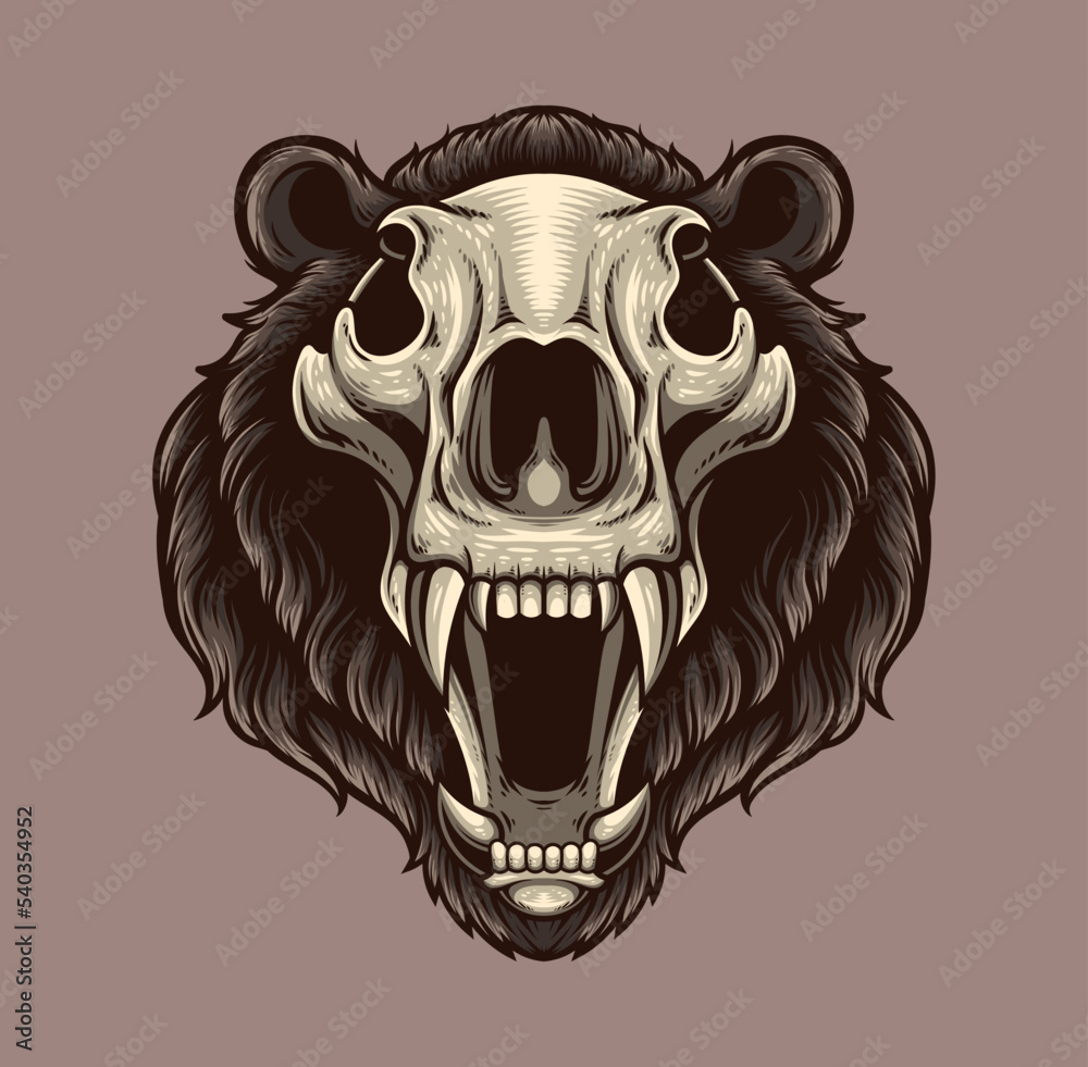 Vector illustration of grizzly bear skull Stock Vector | Adobe Stock