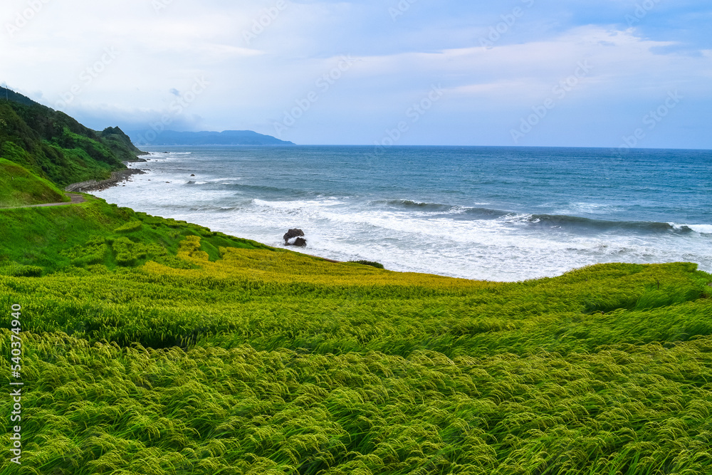日本の棚田 石川県能登半島の白米千枚田 Stock Photo | Adobe Stock