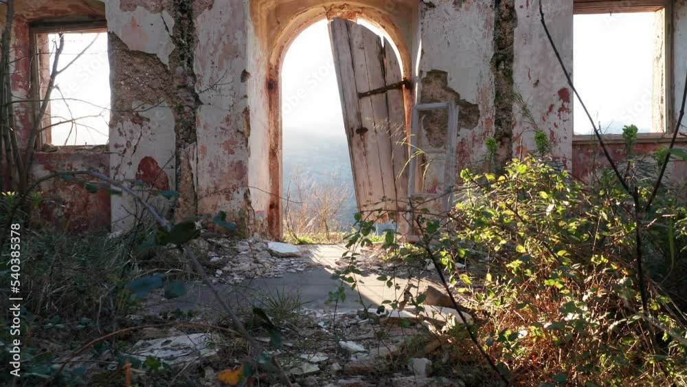 Weeds and rubble on the floor of old derelict house. Eerie and spooky ...