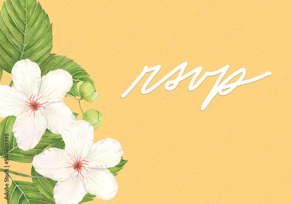 Philippine flora RSVP Card Template Katmon Dillenia philippinensis ...