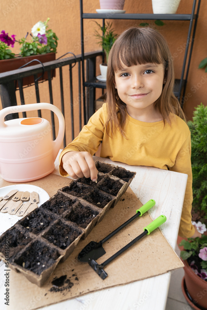 Little girl plants seeds in the ground. Child plants cucumber seeds for ...