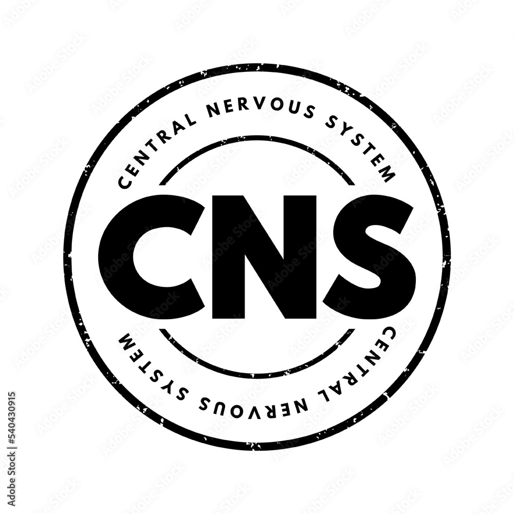 Vetor do Stock: CNS - Central Nervous System is the part of the nervous ...