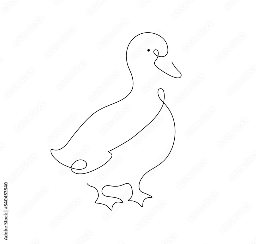 Vector isolated one silngle line duck goose colorless black and white ...