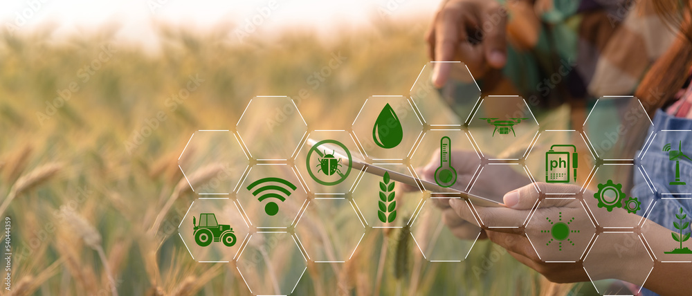 Smart farming concept. Farmer with technology digital tablet on ...