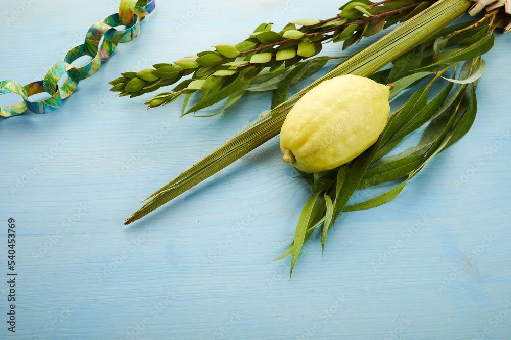 Jewish festival of Sukkot. Traditional symbols Etrog and lulav - citrus ...