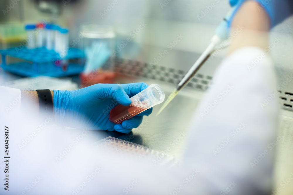 cell culture at the medicine and cell culture laboratory Stock Photo ...