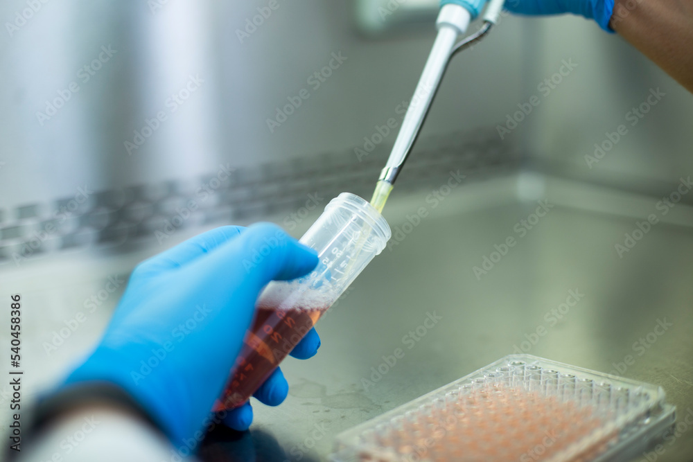 cell culture at the medicine and cell culture laboratory Stock Photo ...