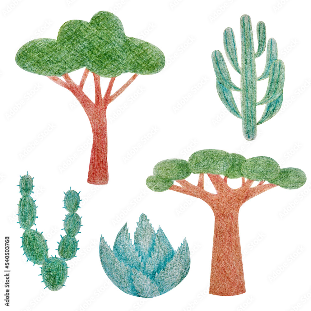 Hand drawn African trees set. Illustration collection of savanna plants ...
