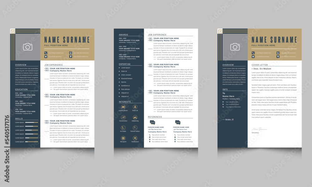 Professional Clean Professional Infographic Resume Template & Creative ...