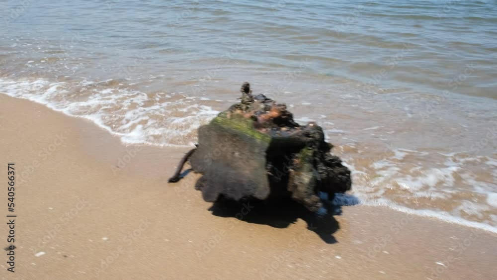 beach stump and sea waves Stock-Video | Adobe Stock