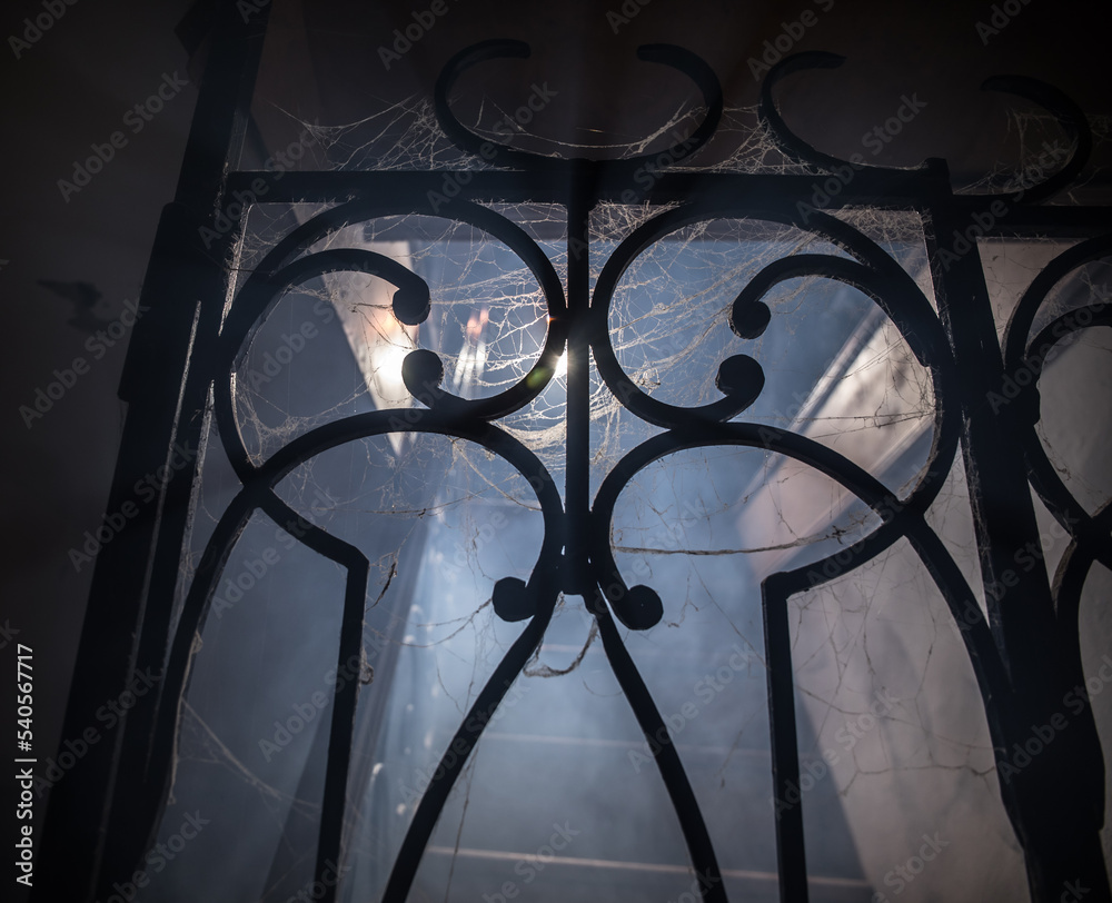 Inside of old creepy abandoned mansion. Silhouette of horror ghost ...