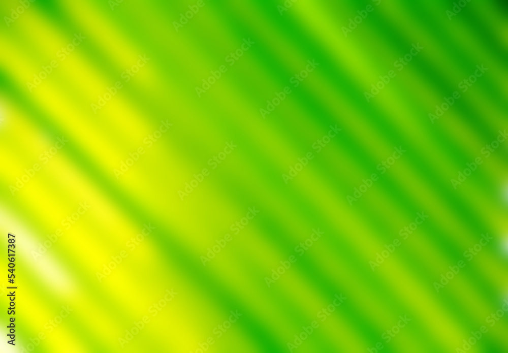 Bright sunlight natural gradient background,Green leaf in garden at ...