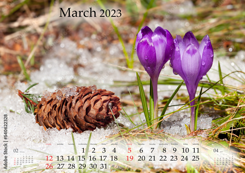 Horizontal wall calendar for 2023 year. March, B3 size. Set of ...