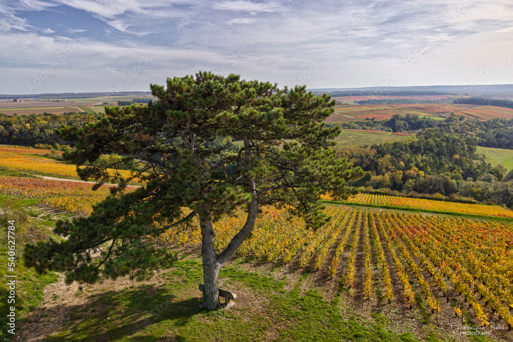 Le Plateau de Blu à Noé les Mallets et ses vignobles à l'automne. Stock ...