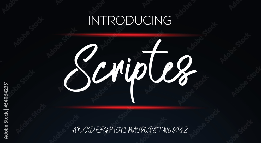SCRIPTES Signature Font Calligraphy Logotype Script Font Type Font ...