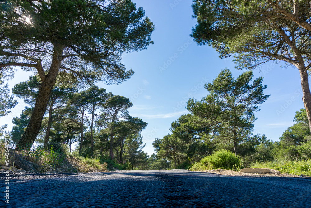 Vu au ras du sol sur cette route goudronnée en pleine colline de ...