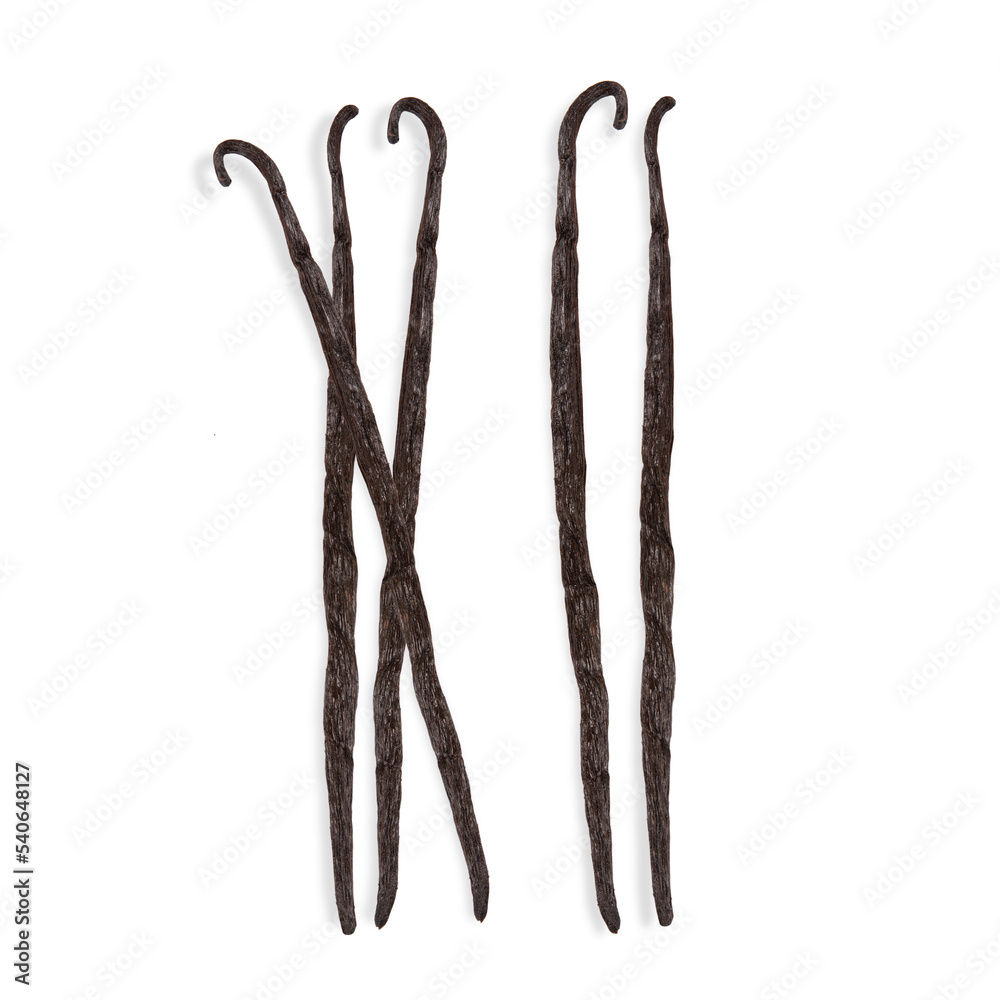 Vanilla. Fresh vanilla pods. Isolated. Top view. Transparent background ...