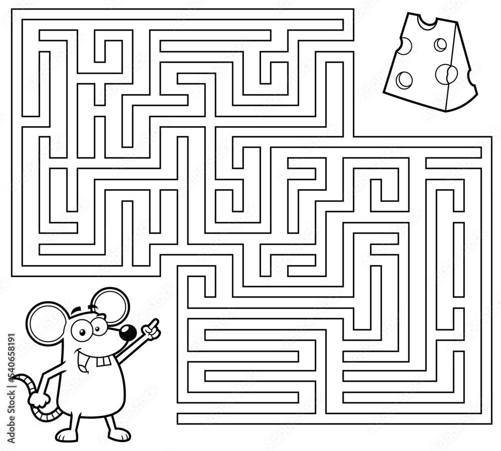 White Mouse Maze