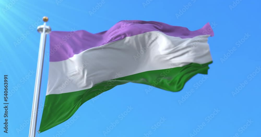 Genderqueer pride flag waving. Loop Stock Video | Adobe Stock
