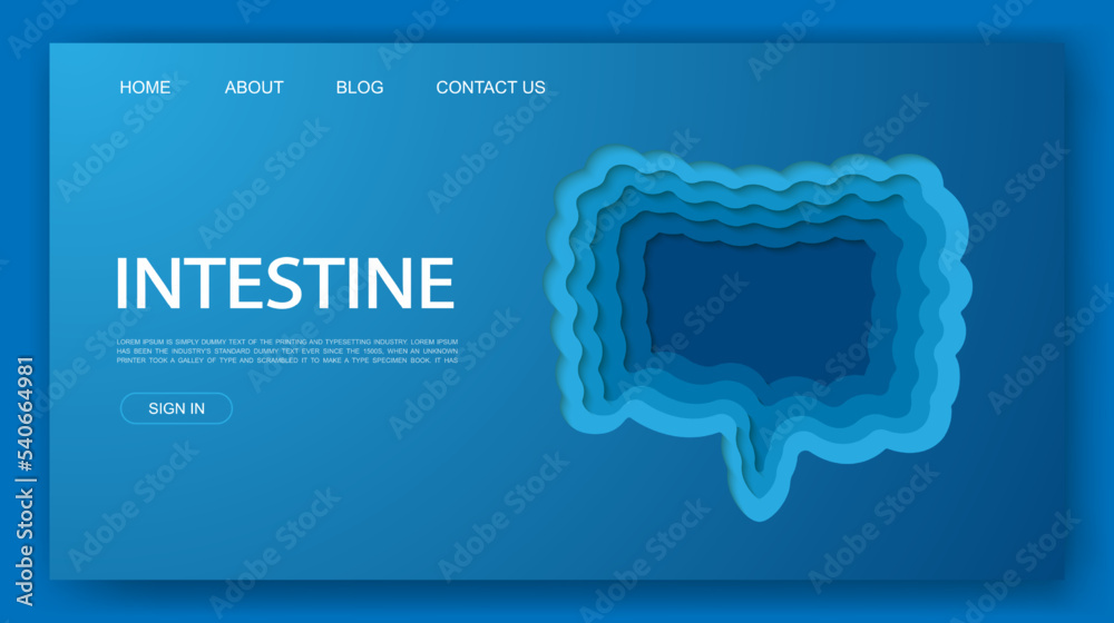 Intestine 3d paper cut website template. Small and large intestine ...