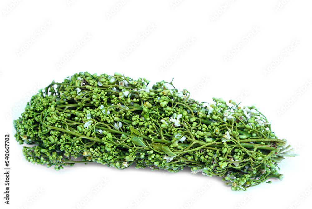 Boiled neem vegetables isolated on white background. Concept : Healthy ...