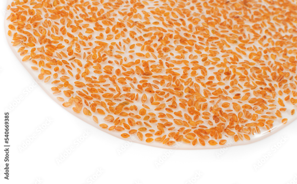 Plantago Ovata Seeds in Water Isolated, Psyllium Husk, Isabgol ...