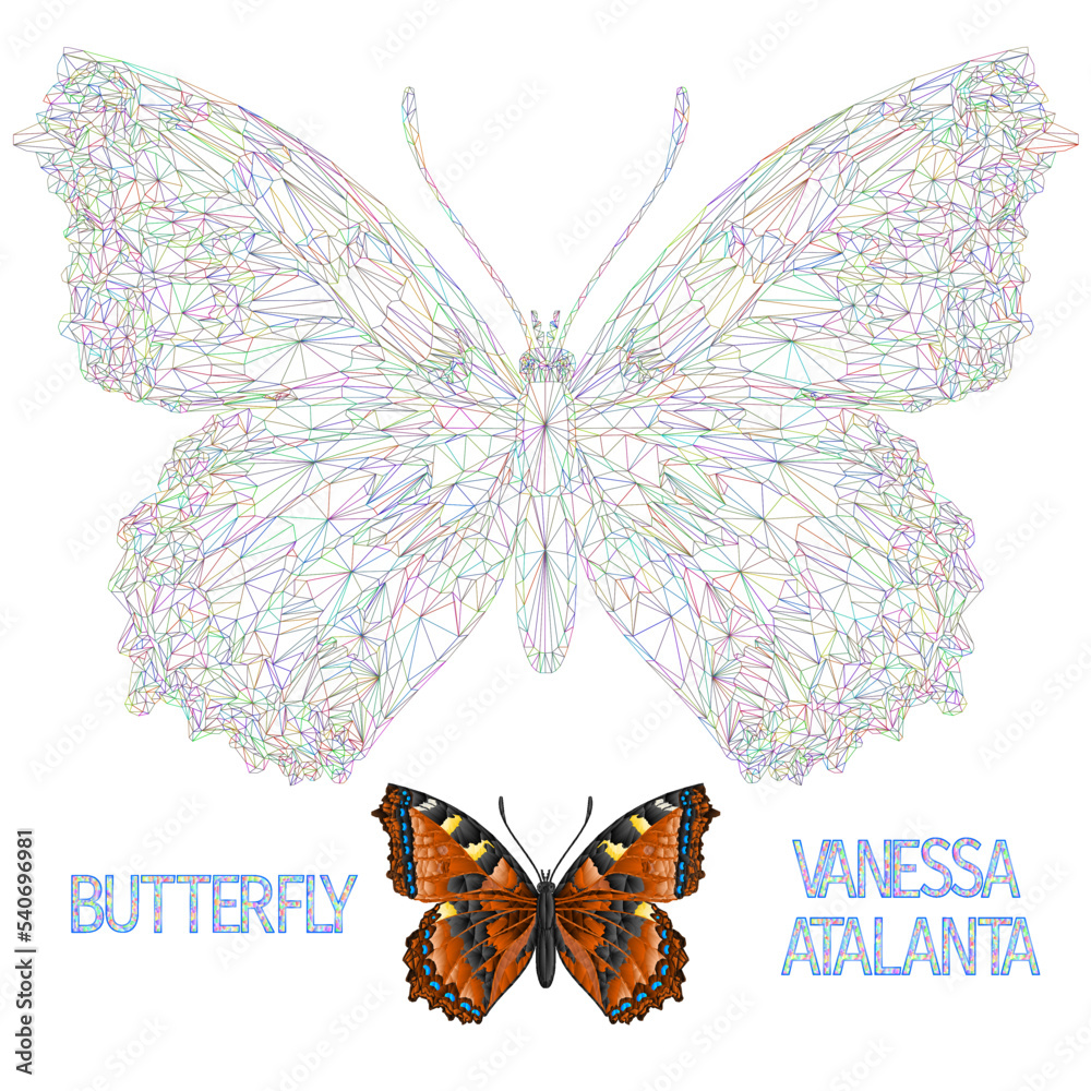 Butterfly Vanessa atalanta beautiful meadow and forest insect polygons ... Butterfly Vanessa atalanta beautiful meadow and forest insect polygons ...