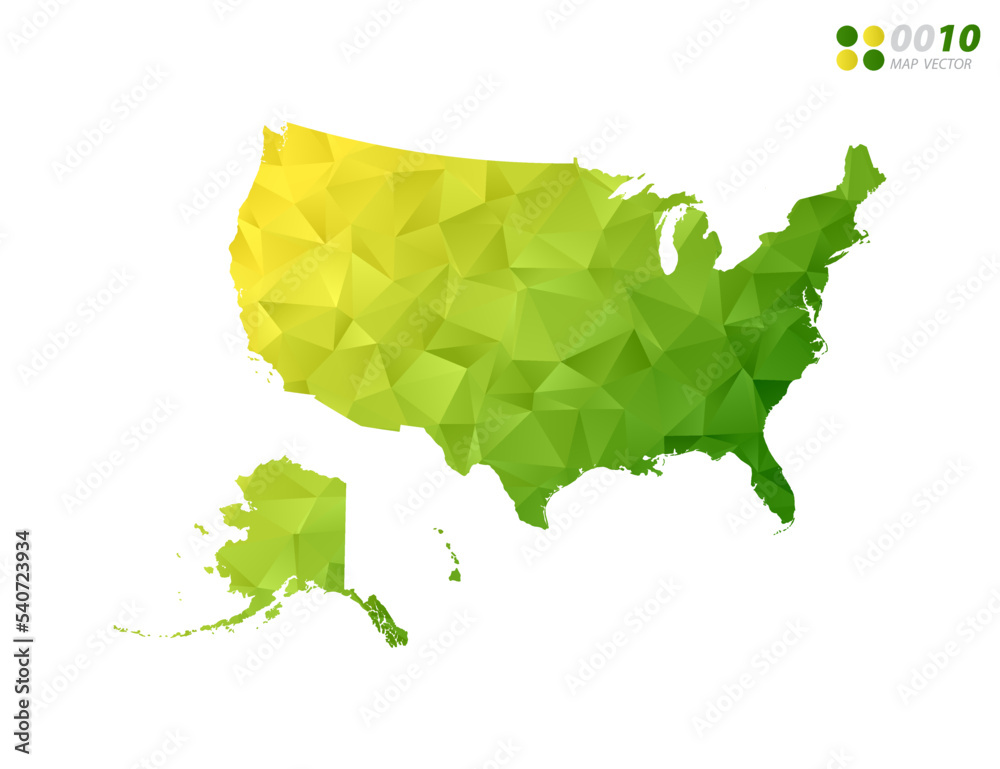 Vector United States of America (USA) map green and yellow polygon ...